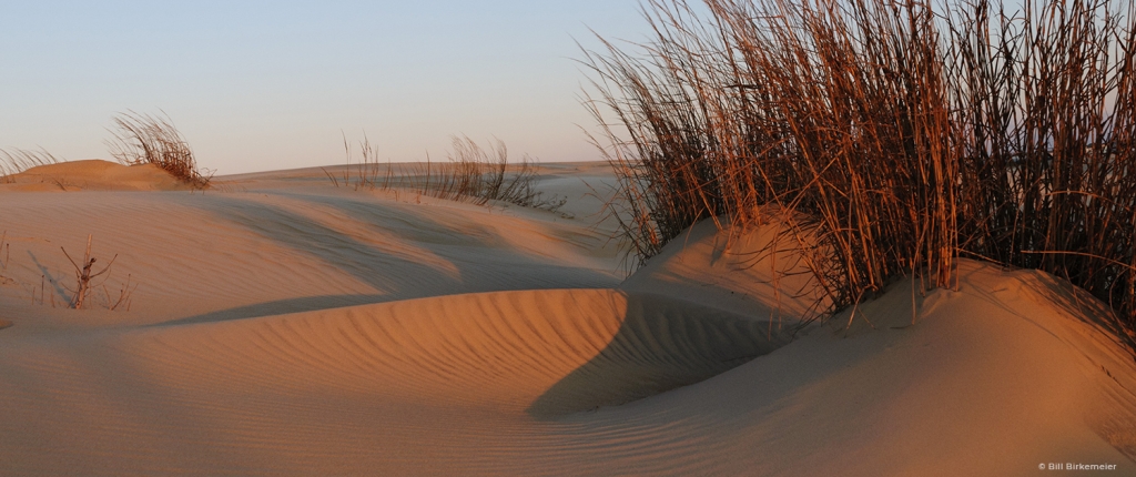 Friends of Jockey's Ridge State Park | Outer Banks, NC