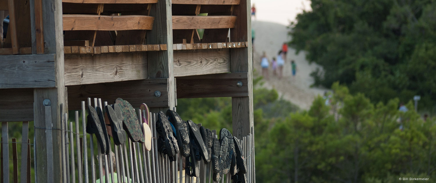 Join Us | Friends of Jockey's Ridge